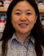 Yijun Cui, M.D., Ph.D. | Semel Institute for Neuroscience and Human ...